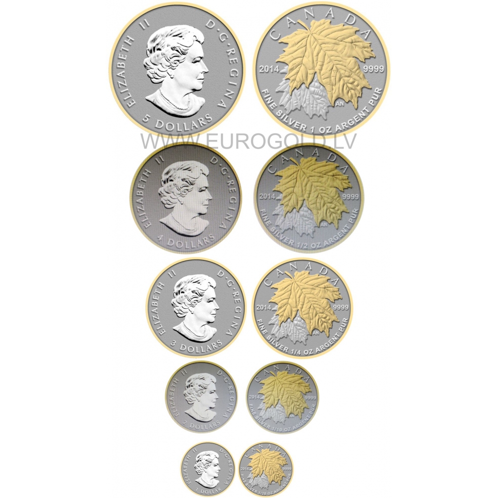 Buy Canada: 2014 Fine Silver Gold Plated Maple Leaf ,Fractional Coin Set